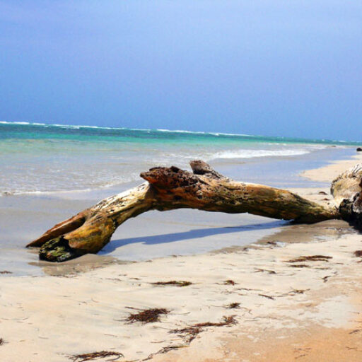 Claudette Chayer | My Biography & books | Biographie et livres